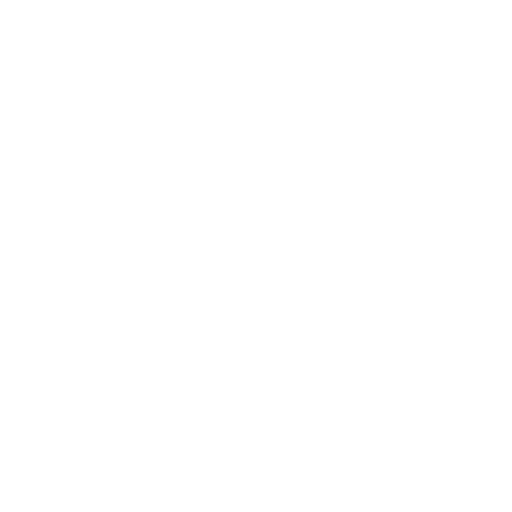 IT Strategy & Discovery Consulting | Guaranteed ROI | Scleraworx